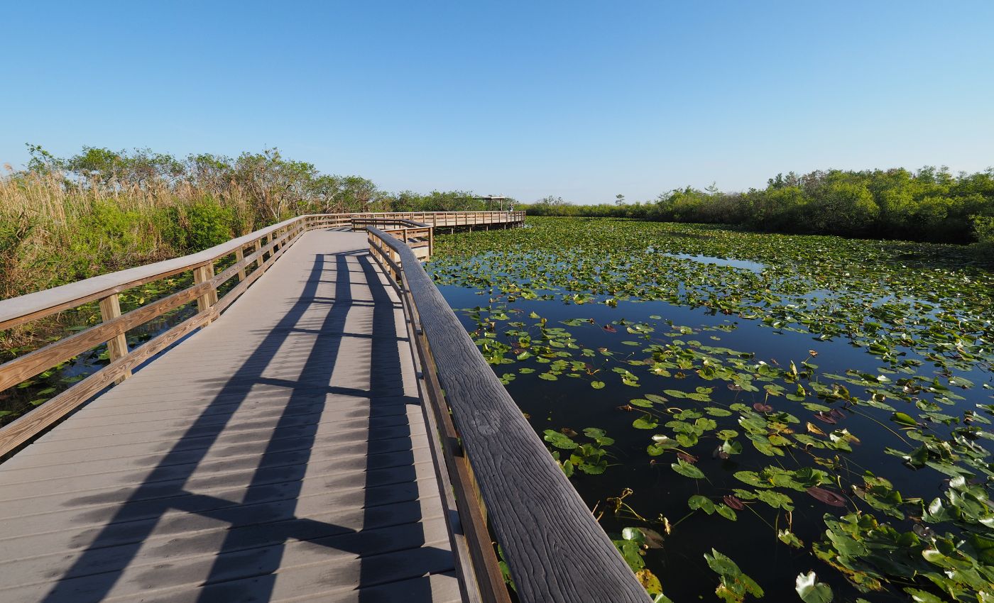 Visit Everglades National Park from Miami 2025