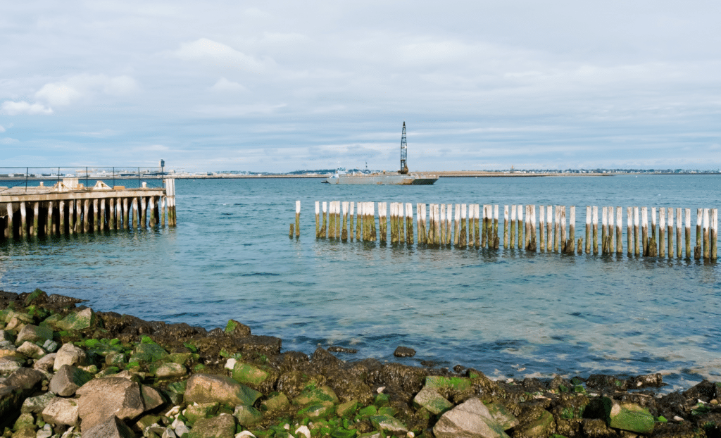 The best beaches in Boston 2025